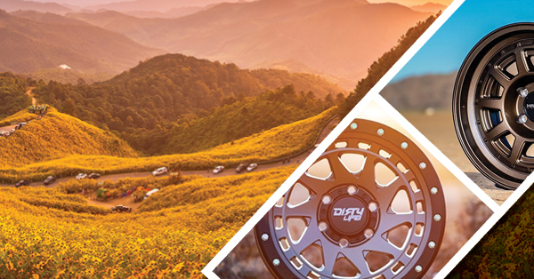 Dynamic Wheel Co. - NTAW Holdings Limited