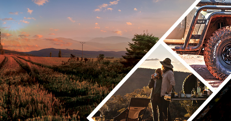 Exclusive Tyre Distributors - NTAW Holdings Limited